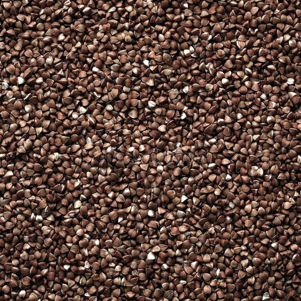 Buckwheat, Maize, & Tigers – CMCS Fish Feed