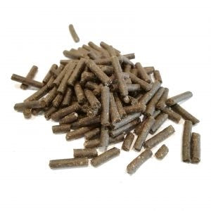 Insect Pellet – CMCS Fish Feed